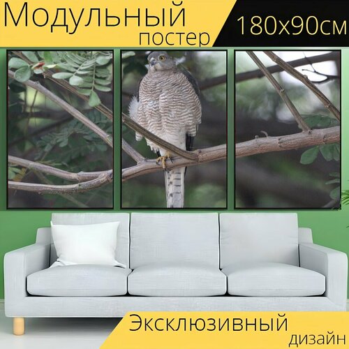 Модульный постер "Птица, природа, животное" 180 x 90 см. для интерьера