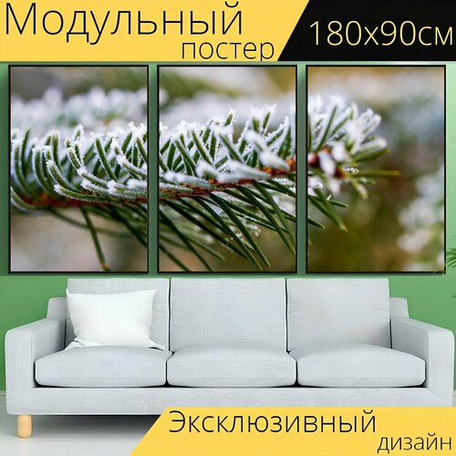 Модульный постер "Зима, ветвь, вечнозеленый" 180 x 90 см. для интерьера