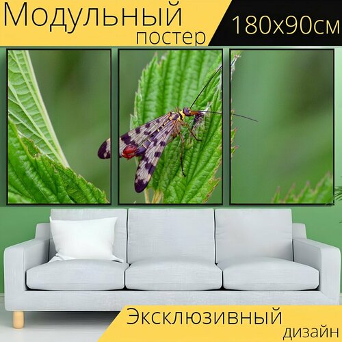 Модульный постер "Скорпион, насекомое, луг" 180 x 90 см. для интерьера