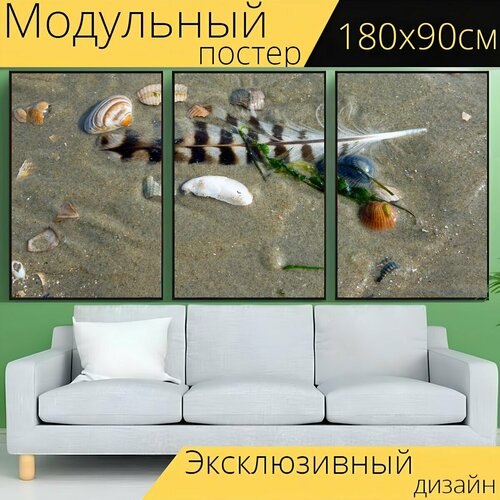 Модульный постер "Чайка перо, моллюски, песок" 180 x 90 см. для интерьера