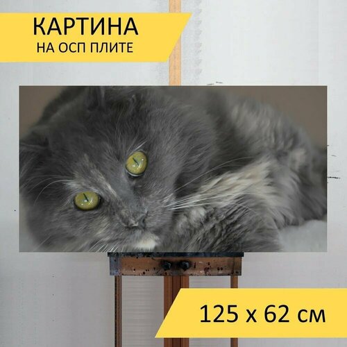 Картина на ОСП 125х62 см. "Кошка, котенок, голова" горизонтальная, для интерьера, с креплениями