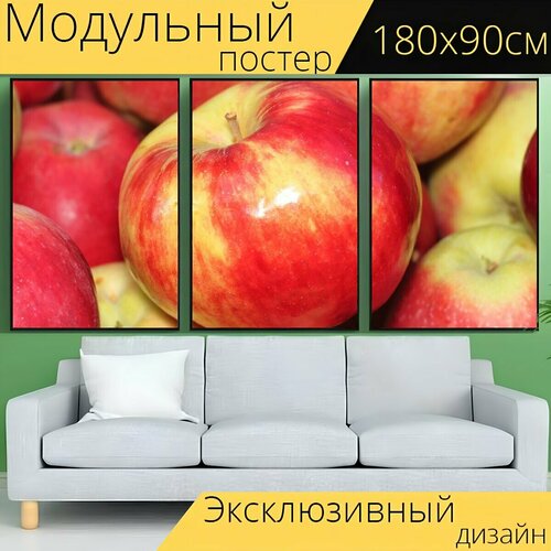 Модульный постер "Яблоко, фрукт, еда" 180 x 90 см. для интерьера