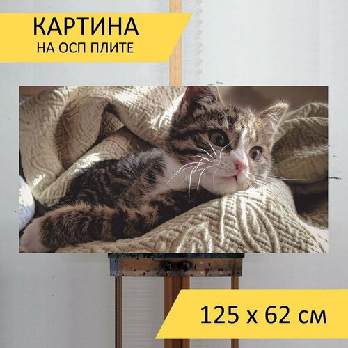 Картина на ОСП 125х62 см. "Кошка, котенок, домашний питомец" горизонтальная, для интерьера, с креплениями