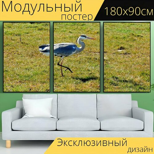Модульный постер "Серая цапля, болотная птица, животное" 180 x 90 см. для интерьера