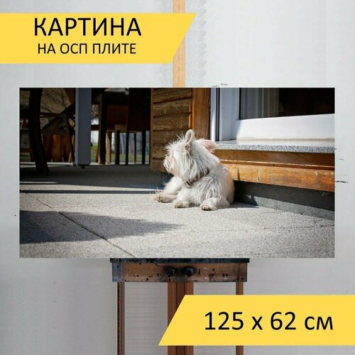 Картина на ОСП 125х62 см. "Собака, сад, дом" горизонтальная, для интерьера, с креплениями