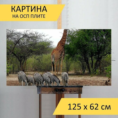 Картина на ОСП 125х62 см. "Зебры, жирафа, африке" горизонтальная, для интерьера, с креплениями