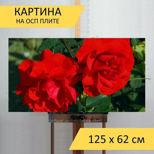 Картина на ОСП 125х62 см. "Красный, красные розы, розы" горизонтальная, для интерьера, с креплениями