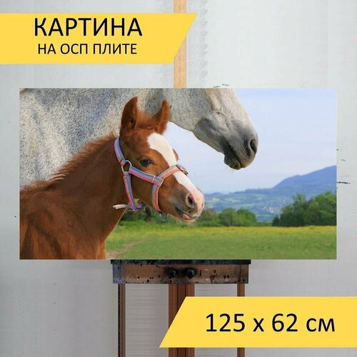 Картина на ОСП 125х62 см. "Жеребенок, коричневый, лошадь" горизонтальная, для интерьера, с креплениями