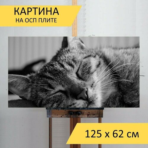 Картина на ОСП 125х62 см. "Кошка, даховец, мечтать" горизонтальная, для интерьера, с креплениями