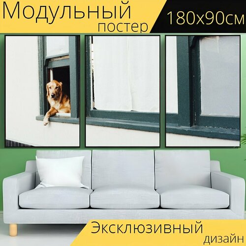 Модульный постер "Собака, животное, золотистый ретривер" 180 x 90 см. для интерьера