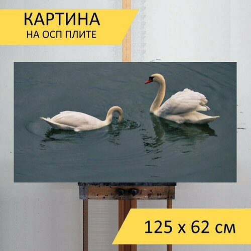 Картина на ОСП 125х62 см. "Лебеди, пара, озеро" горизонтальная, для интерьера, с креплениями