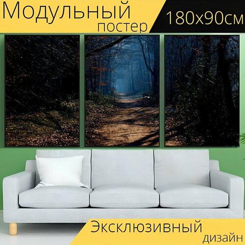 Модульный постер "Лес, лесная тропа, природа" 180 x 90 см. для интерьера