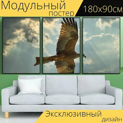 Модульный постер "Канюк, хищная птица, хищник" 180 x 90 см. для интерьера
