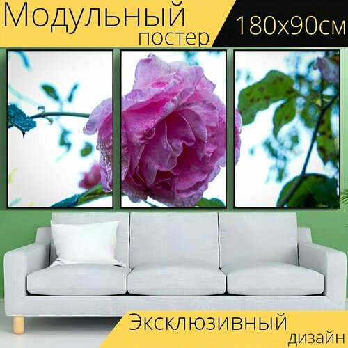 Модульный постер "Розы, розовый, сад" 180 x 90 см. для интерьера