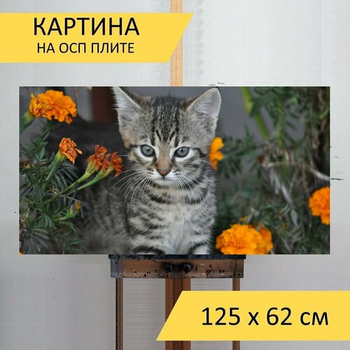 Картина на ОСП 125х62 см. "Животные, котенок, молодой котенок" горизонтальная, для интерьера, с креплениями