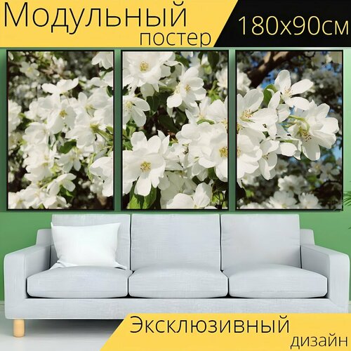 Модульный постер "Весна, цветок, цвести" 180 x 90 см. для интерьера