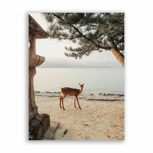 Постер, плакат на бумаге / Природа Японии - Олень / Размер 40 x 53 см