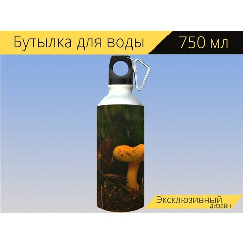 Бутылка фляга для воды "Гриб, лес, природа" 750 мл. с карабином и принтом