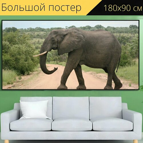 Большой постер "Африканец, слон, бивень" 180 x 90 см. для интерьера