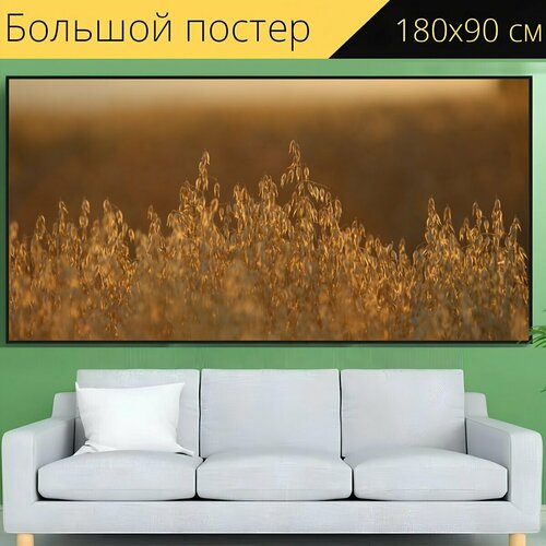 Большой постер "Поле, зерно, пшеница" 180 x 90 см. для интерьера