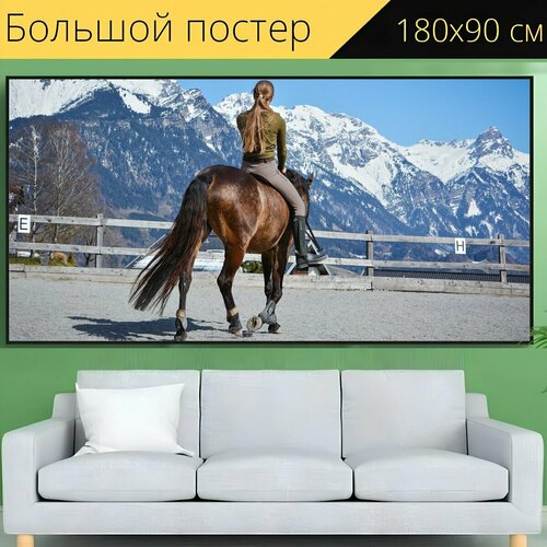 Большой постер "Лошадь, верховая езда, урок верховой езды" 180 x 90 см. для интерьера