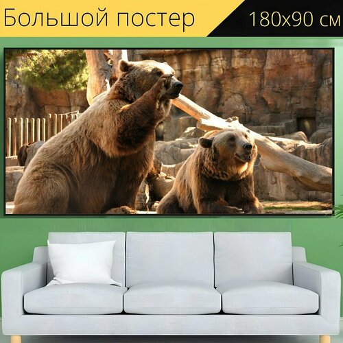 Большой постер "Медведь, медведи, зоопарк" 180 x 90 см. для интерьера