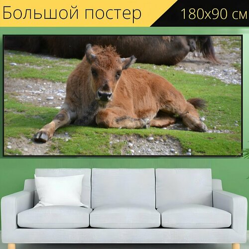 Большой постер "Зубр, буйвол, животное" 180 x 90 см. для интерьера