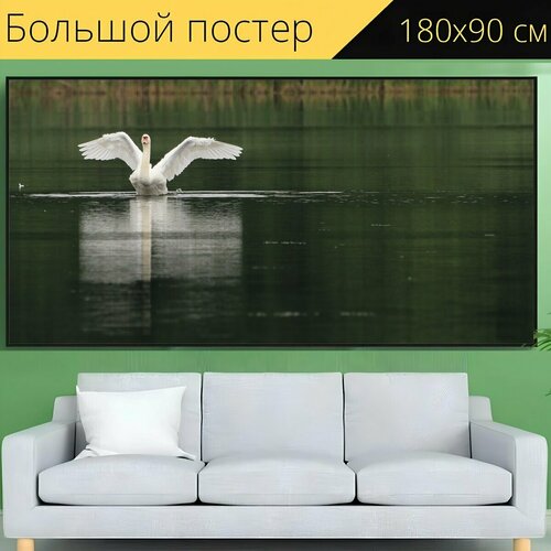 Большой постер "Лебедь, озеро, крыло" 180 x 90 см. для интерьера