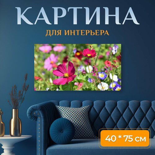 Картина на холсте "Цветочный луг, цветок, луговые цветы" на подрамнике 75х40 см. для интерьера