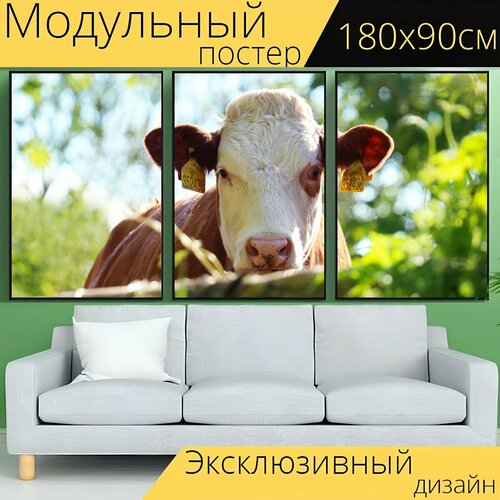 Модульный постер "Корова, крупный рогатый скот, изгородь" 180 x 90 см. для интерьера