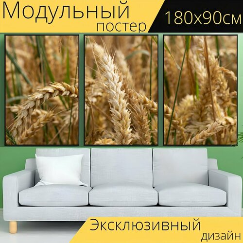 Модульный постер "Пшеница, завод, поле" 180 x 90 см. для интерьера