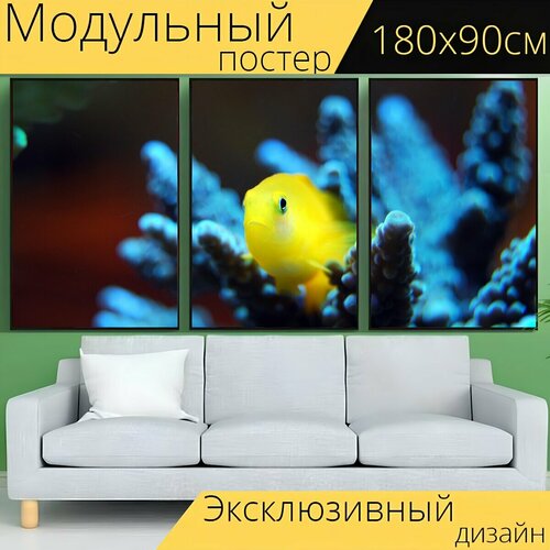 Модульный постер "Рыбы, желтый, коралл" 180 x 90 см. для интерьера