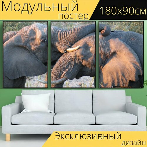 Модульный постер "Слоны, резвиться, закат" 180 x 90 см. для интерьера