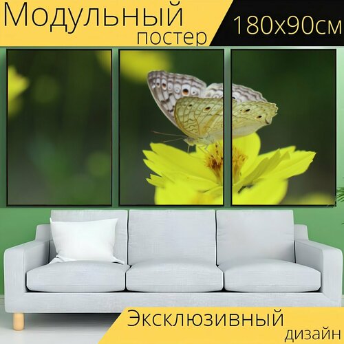 Модульный постер "Хороший зеленый пятно, подставка бабочка на желтый цветок, подача" 180 x 90 см. для интерьера