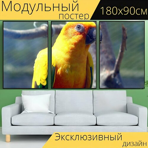 Модульный постер "Птица, попугай, природа" 180 x 90 см. для интерьера