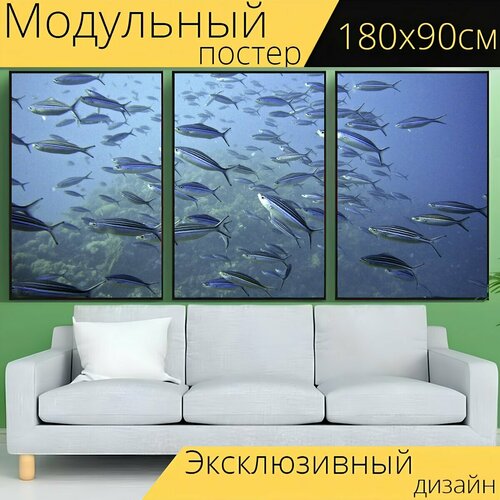 Модульный постер "Роиться, рыбы, морские существа" 180 x 90 см. для интерьера