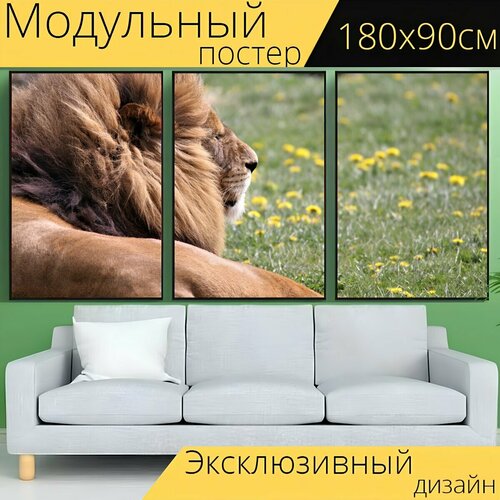 Модульный постер "Лев, большой кот, дикая природа" 180 x 90 см. для интерьера
