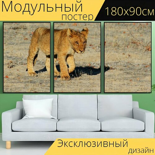 Модульный постер "Лев, детеныш, кошачий" 180 x 90 см. для интерьера