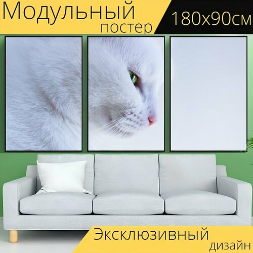 Модульный постер "Кошки скрести, кот, питомец животные" 180 x 90 см. для интерьера