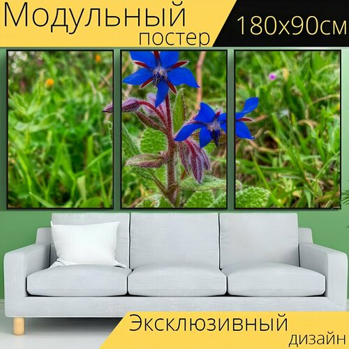 Модульный постер "Цветы, синий, цветочные" 180 x 90 см. для интерьера
