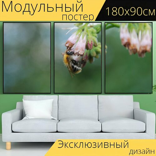 Модульный постер "Пчела, окопник, цвести" 180 x 90 см. для интерьера