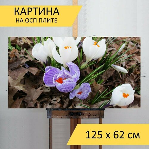 Картина на ОСП 125х62 см. "Крокус, цветы, весна" горизонтальная, для интерьера, с креплениями