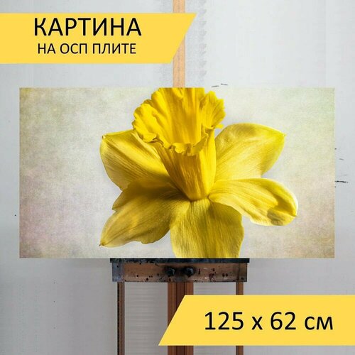 Картина на ОСП 125х62 см. "Нарцисс, цветок, желтый" горизонтальная, для интерьера, с креплениями