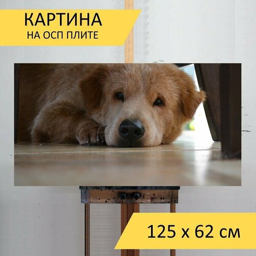 Картина на ОСП 125х62 см. "Собака, щенок, домашний питомец" горизонтальная, для интерьера, с креплениями