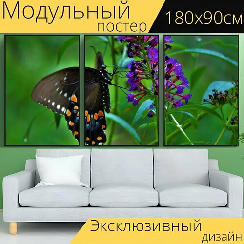 Модульный постер "Бабочка, парусники бабочки, природа" 180 x 90 см. для интерьера