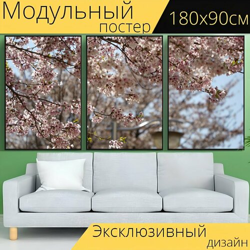 Модульный постер "Цветение вишни, деревья, цветы" 180 x 90 см. для интерьера