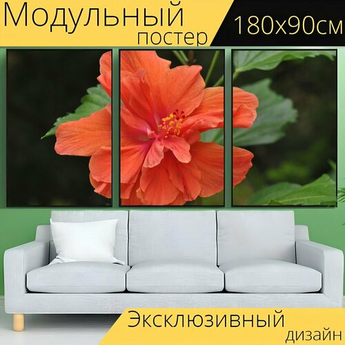Модульный постер "Тюльпан оранжевый, цветок, апельсин" 180 x 90 см. для интерьера