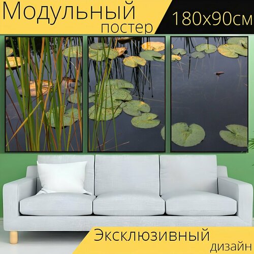 Модульный постер "Кувшинки, озеро, водяные лилии" 180 x 90 см. для интерьера