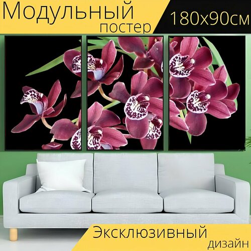 Модульный постер "Цветы, орхидея, экзотика" 180 x 90 см. для интерьера