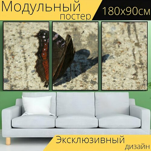 Модульный постер "Бабочка, насекомое, летающее насекомое" 180 x 90 см. для интерьера